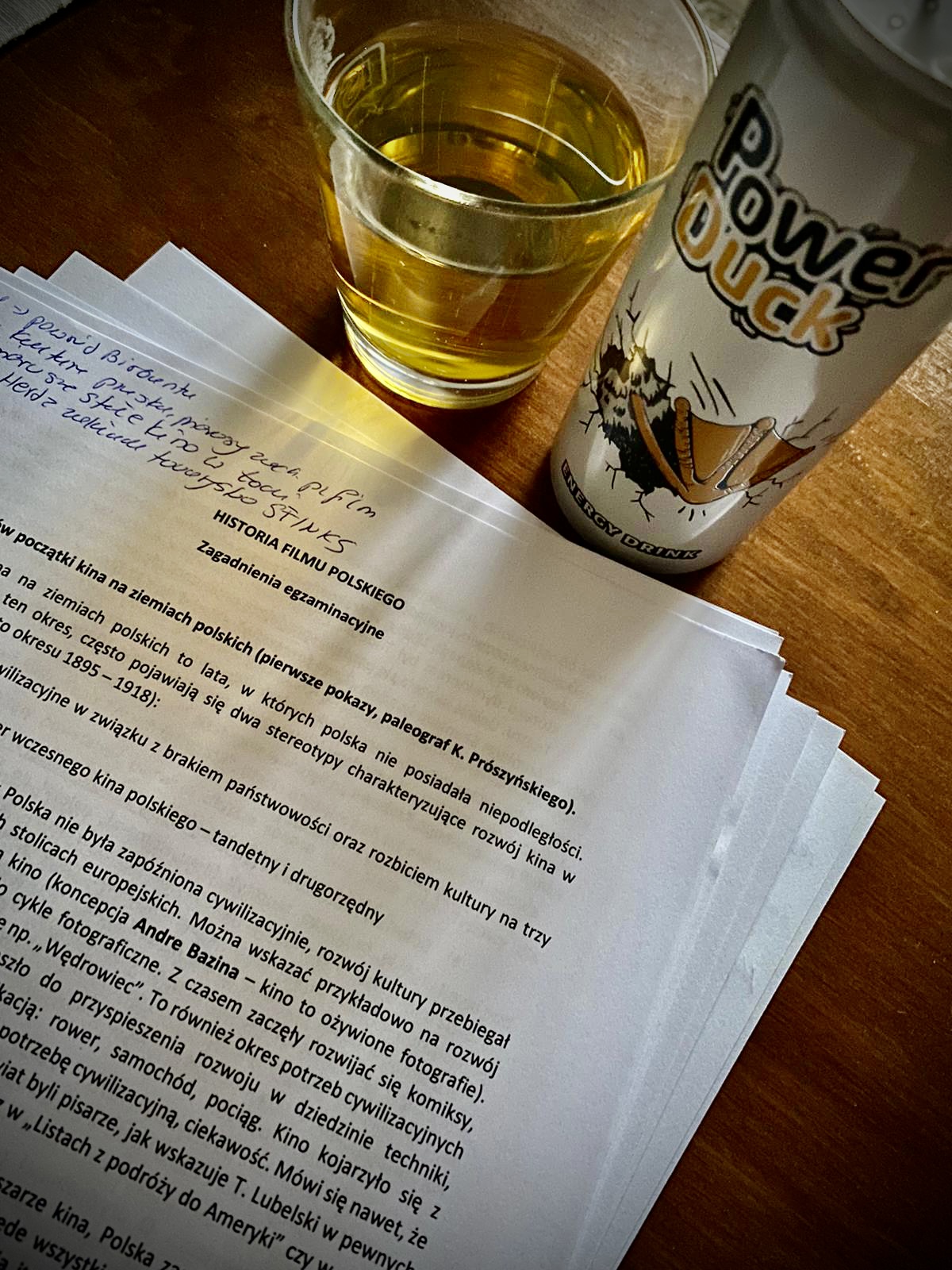 Power Duck – Daje Kopa przy pracy! – Power Duck